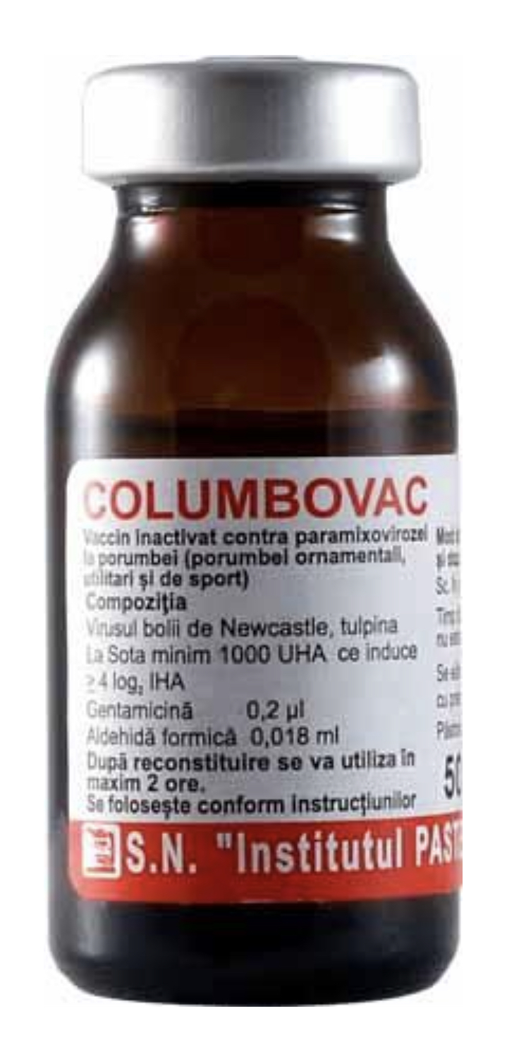 Pigeons: COLUMBOVAC vaccine - (inactivated vaccine for immuno ...